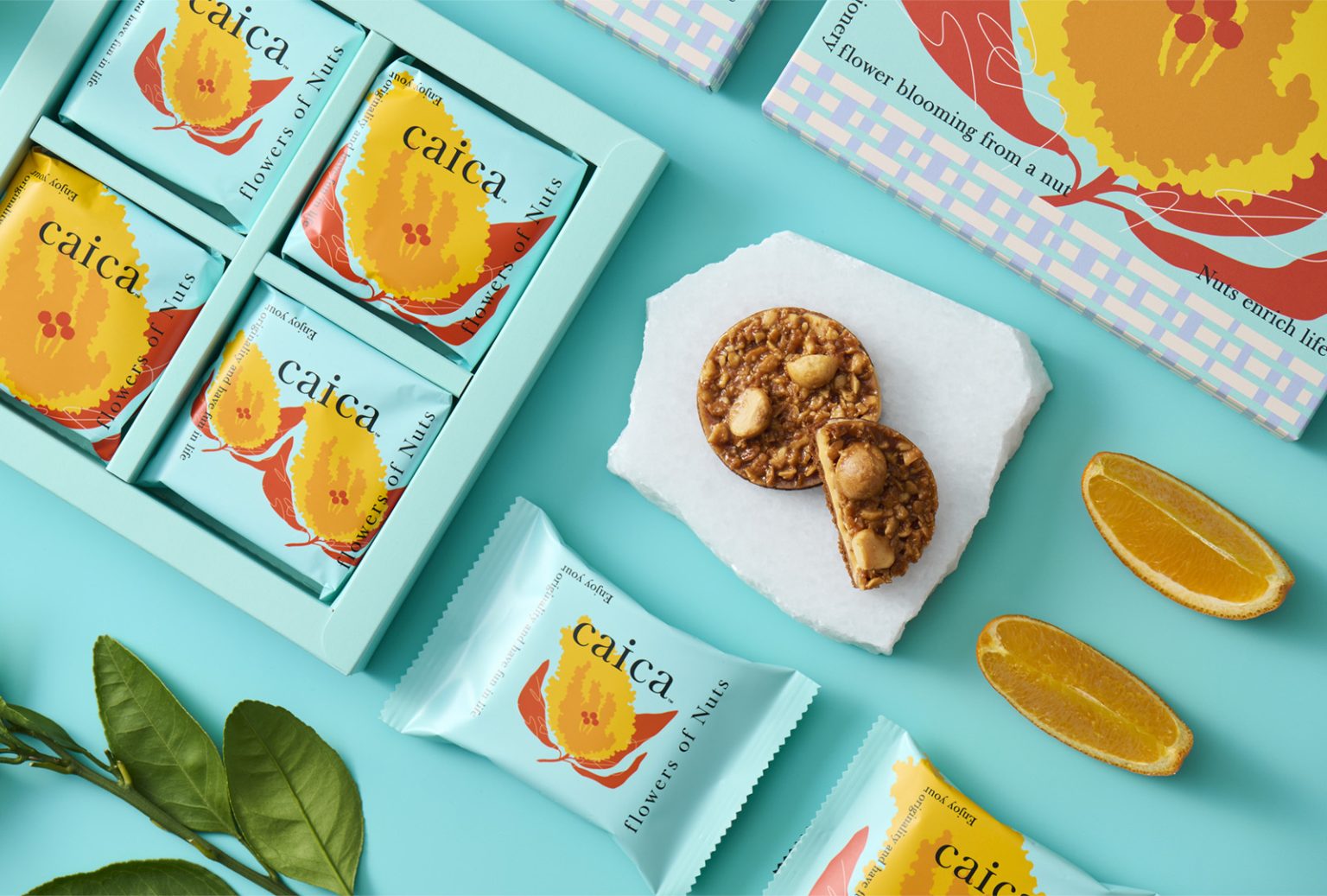 9月の催事情報 | news | caica